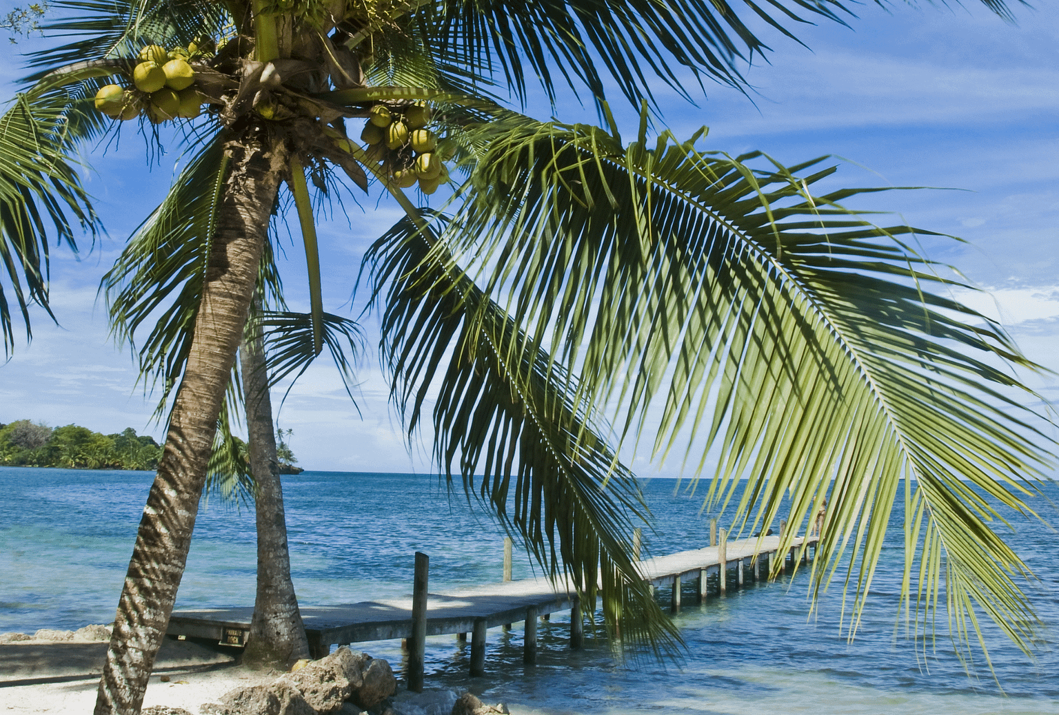 Cocoliso, Islas del rosario : Una isla para visitar | Cartagena Tours