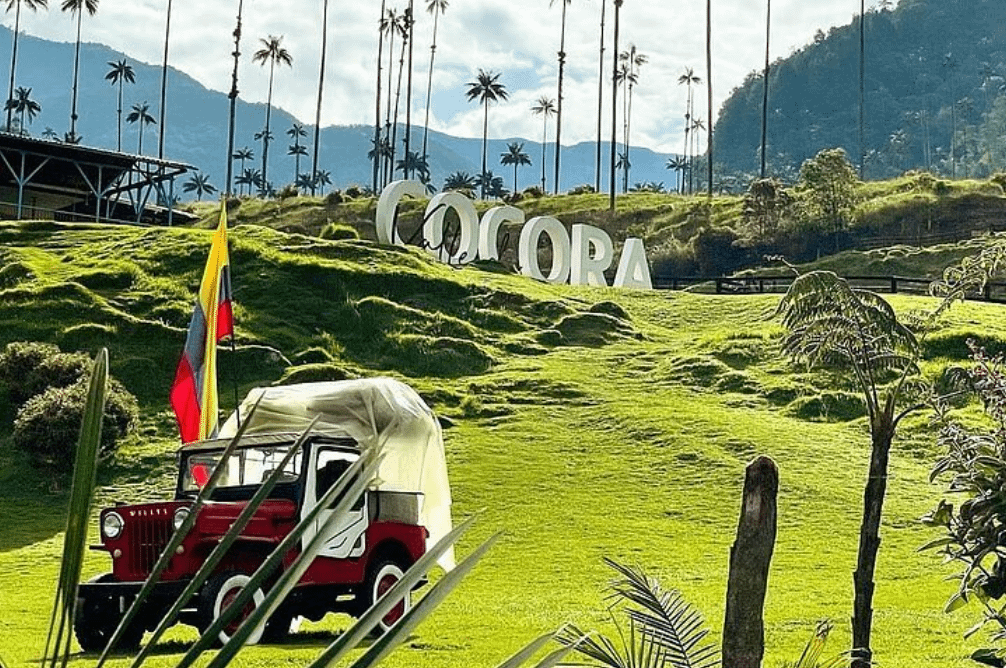 Valle del Cocora | Descubre este rincón Colombiano