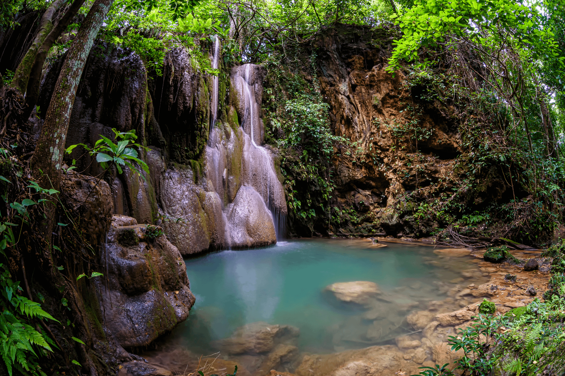 Minca Tour desde Cartagenal | Tour de 1 Dia Al Mejor Precio