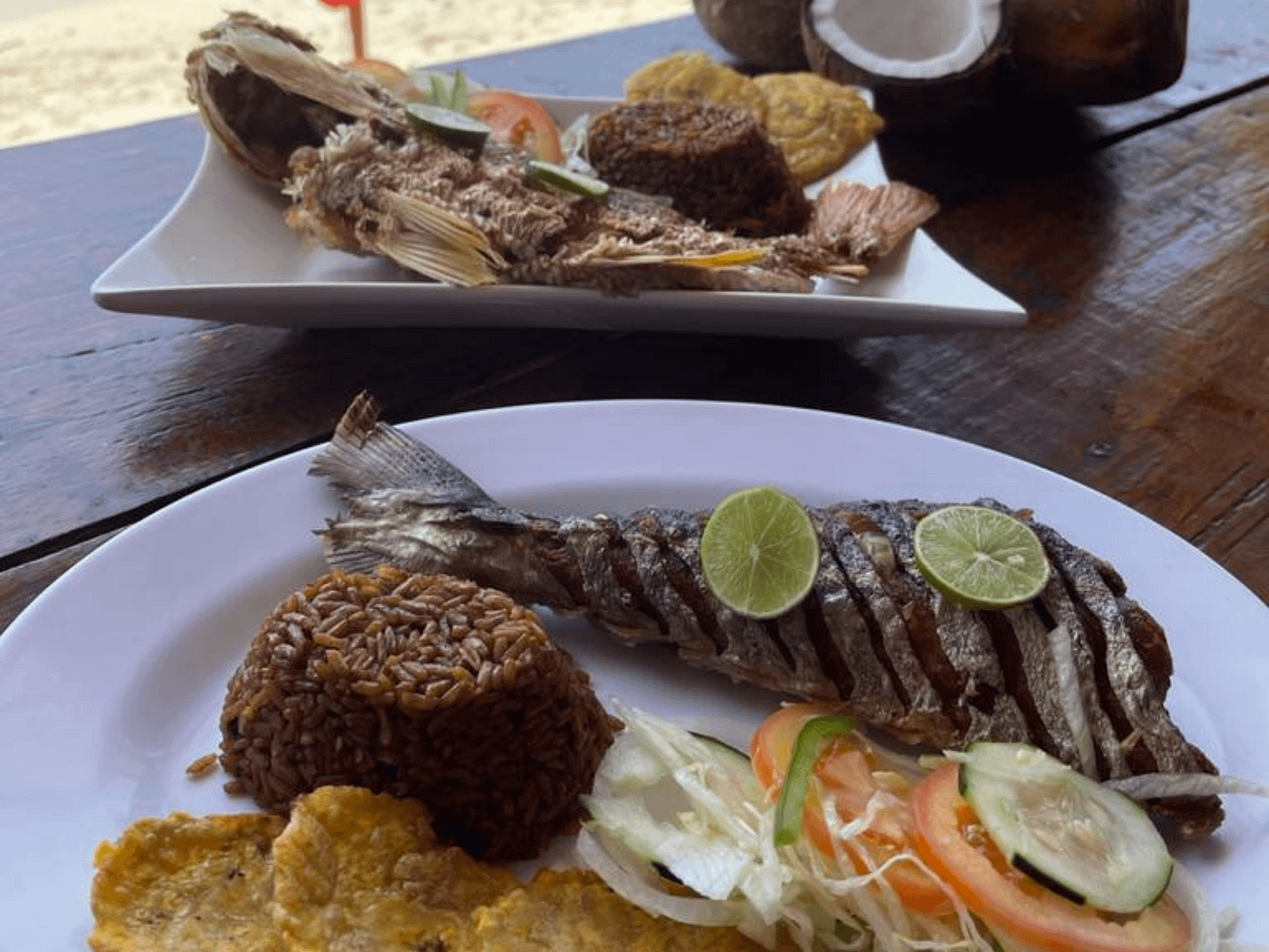 Playa Tranquila Cartagena | El Pasadia N°1 Todo Incluido