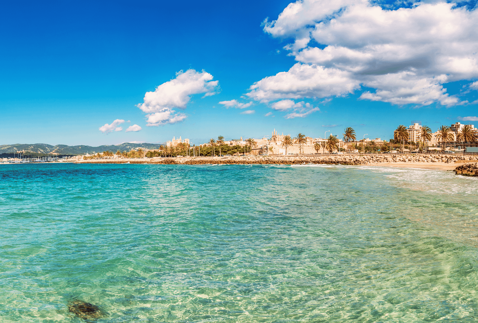 ¿ Por qué ir a Isla Palma Cartagena ? | Cartagena Tours