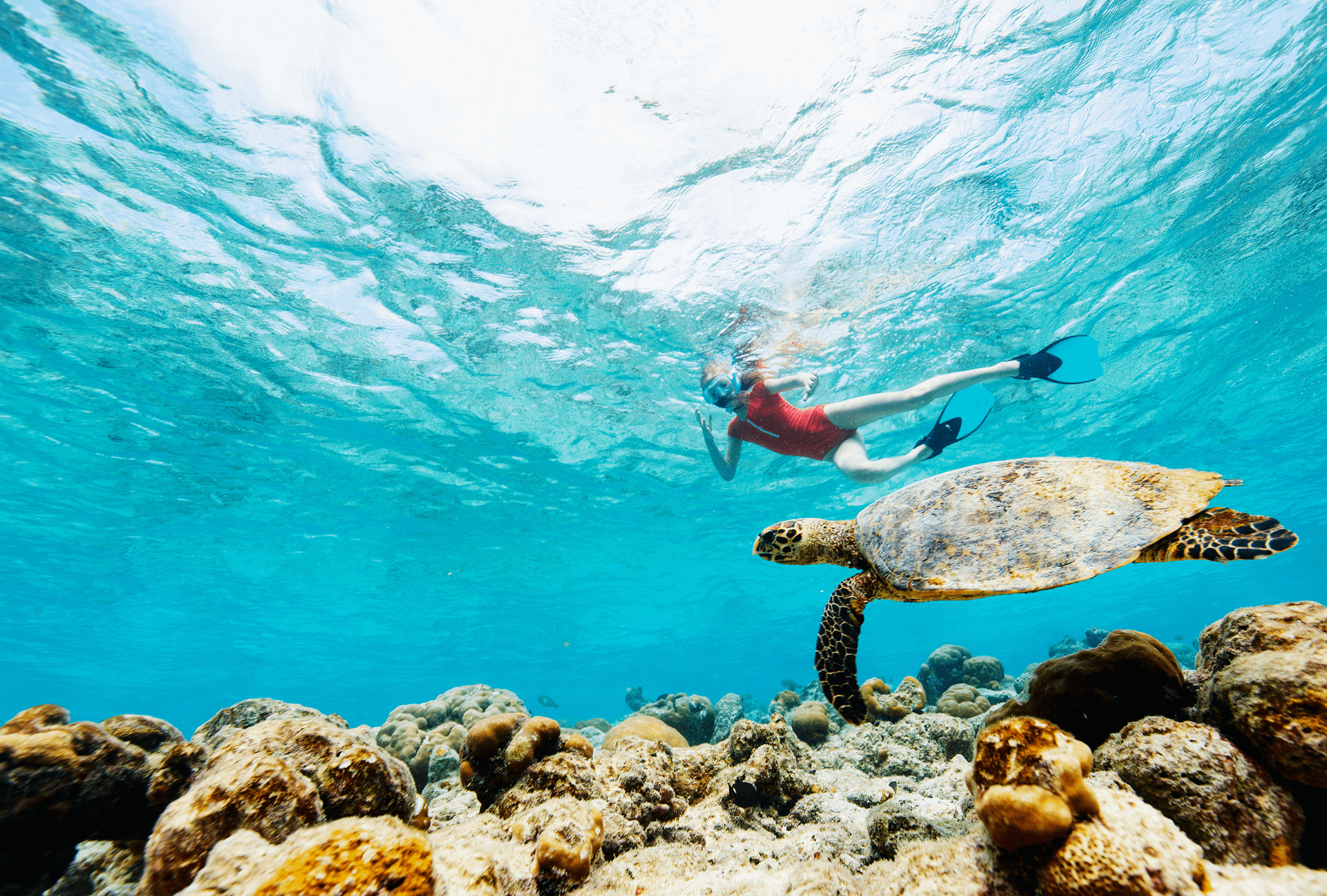 Tour 4 Islands Cartagena | An Unforgettable Day | Agency N°1